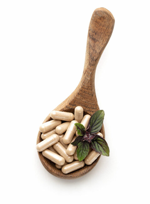 Nutrition Plans - Well of Life Center for Natural Health
