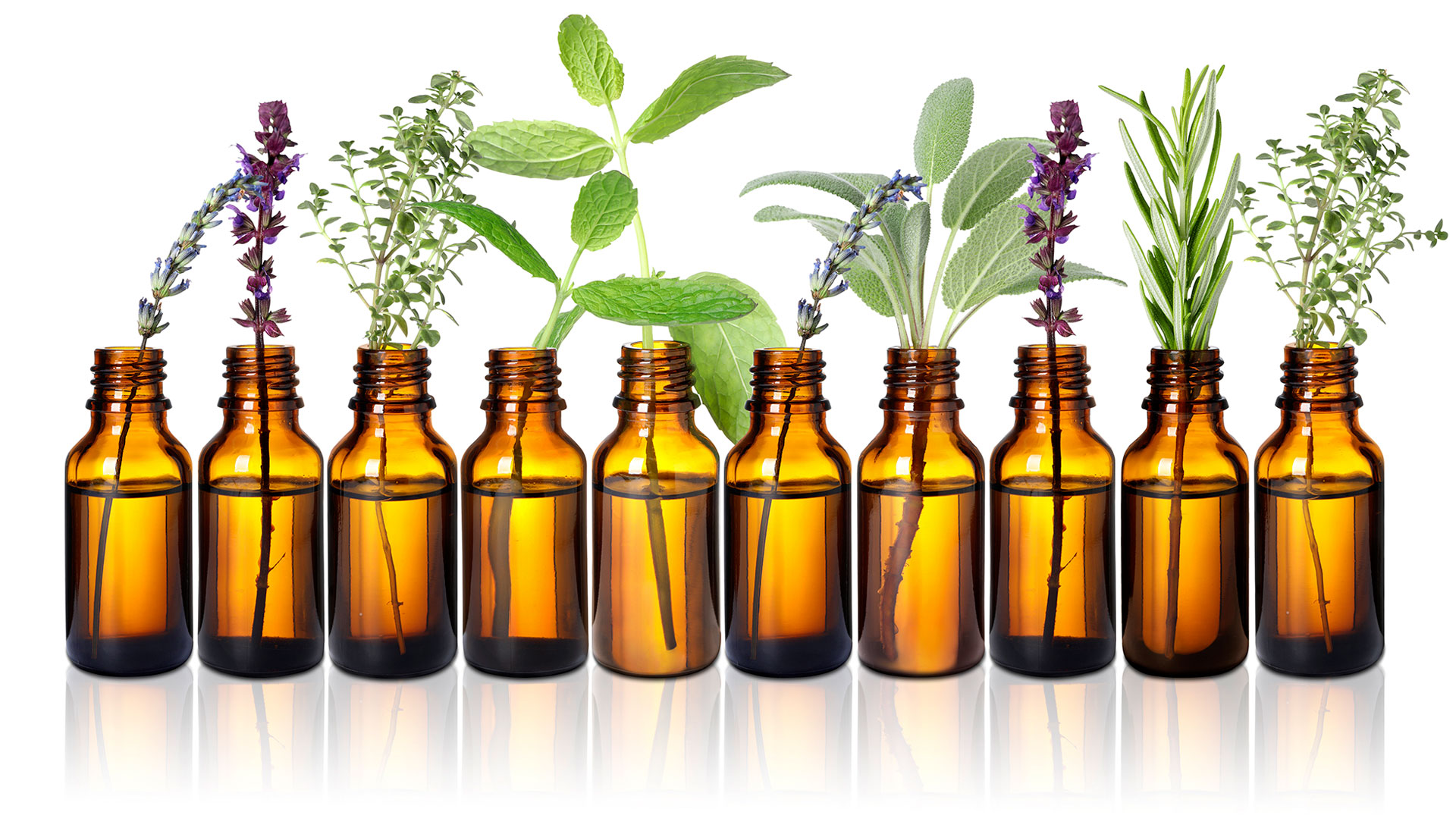 How Do We Use Essential Oils? - Well of Life Center for Natural Health
