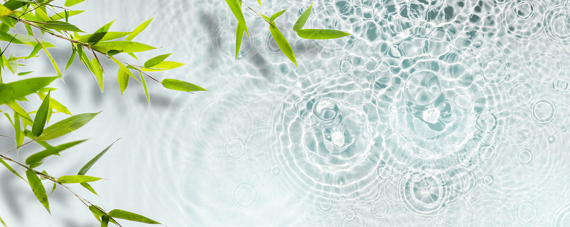 Colon Hydrotherapy - Well of Life Center for Natural Health