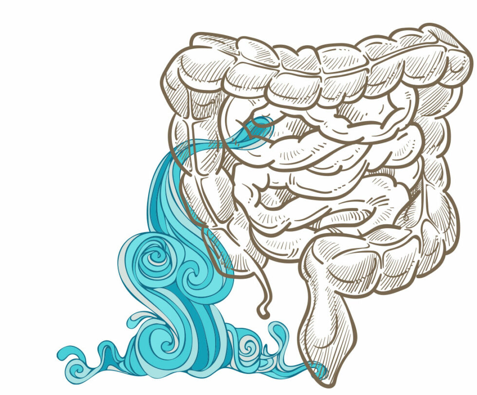 Colon Hydrotherapy - Well of Life Center for Holistic Healthcare