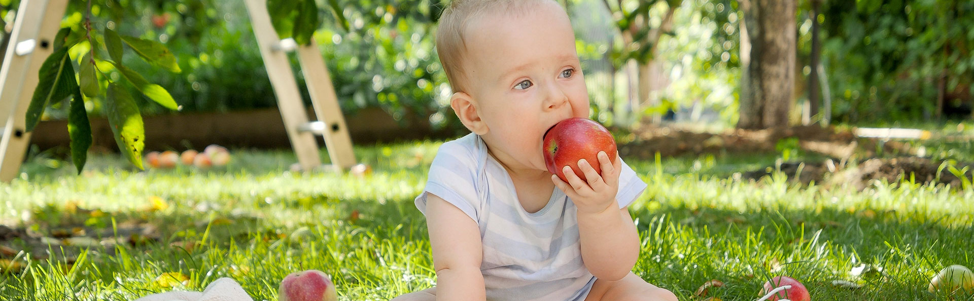 Myo Munchee - Well of Life Center for Holistic Healthcare